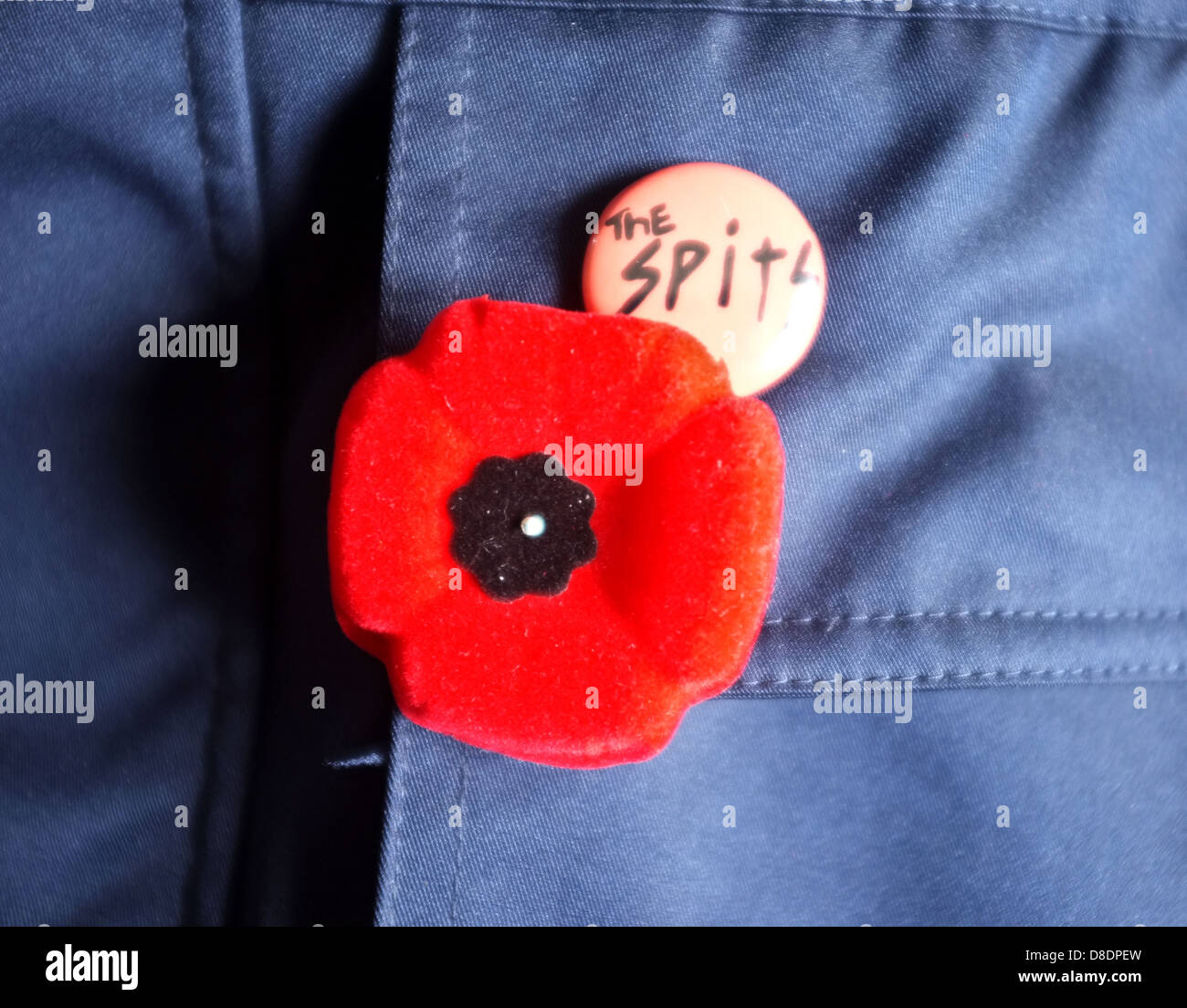 The Remembrance poppy has been used since 1920 to commemorate soldiers ...