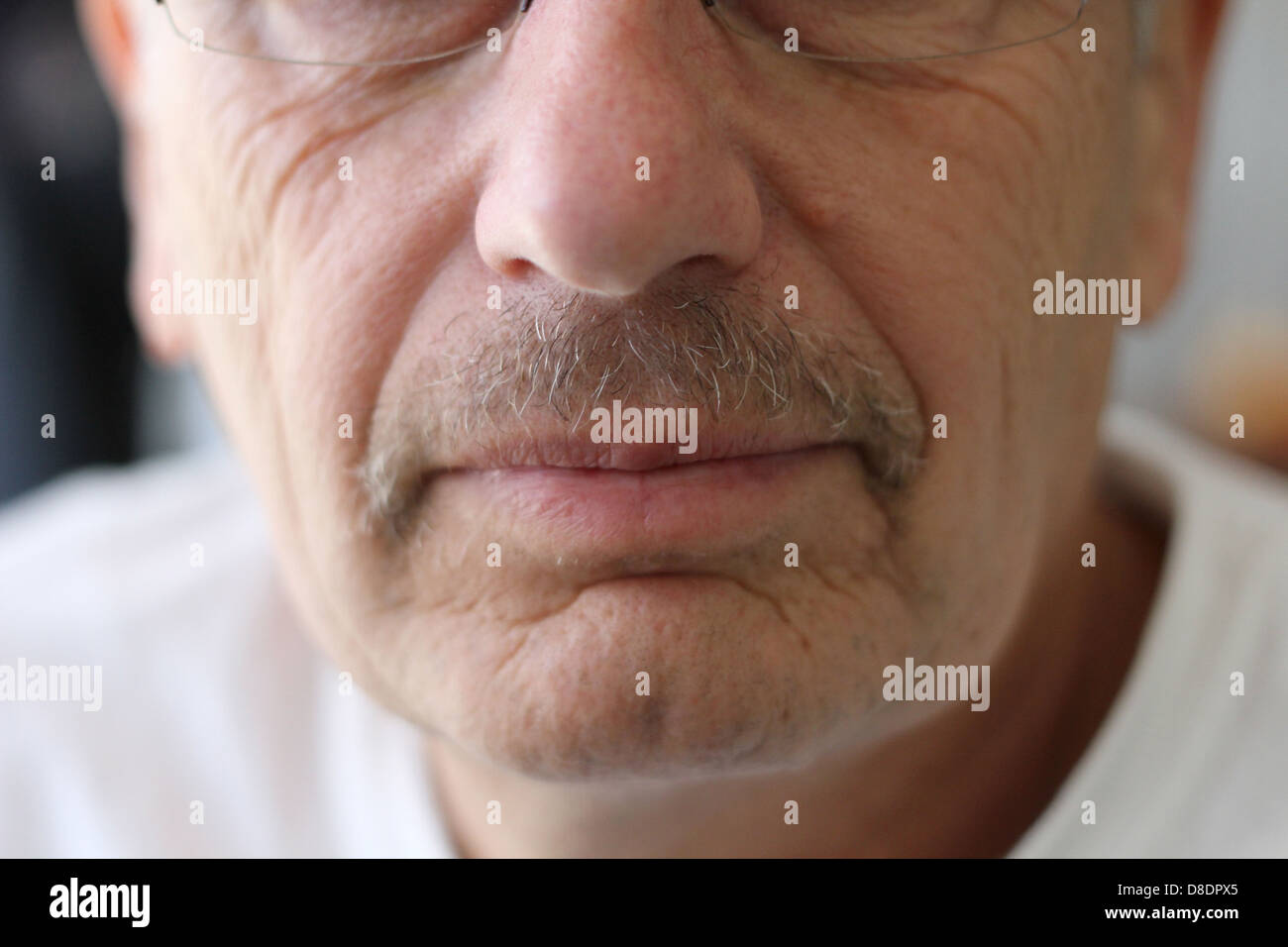 Psa bacteria hi-res stock photography and images - Alamy