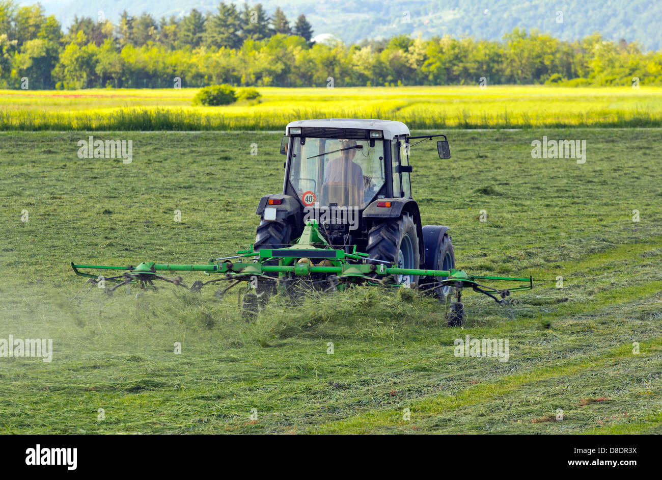 Tractor turning cut hay in a field Stock Photo - Alamy