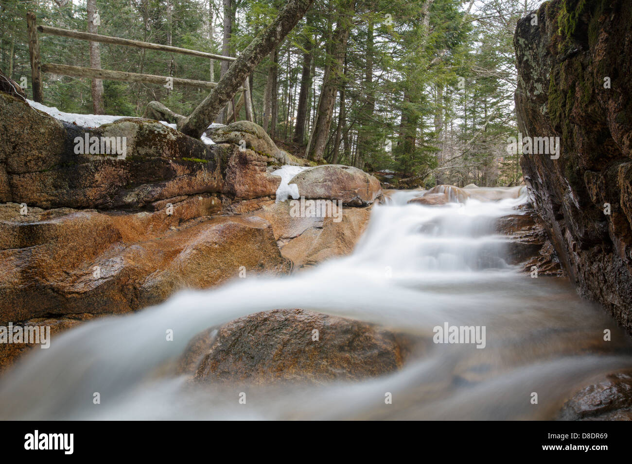 The Baby Flume in Franconia Notch State Park of new Hampshire USA Stock ...
