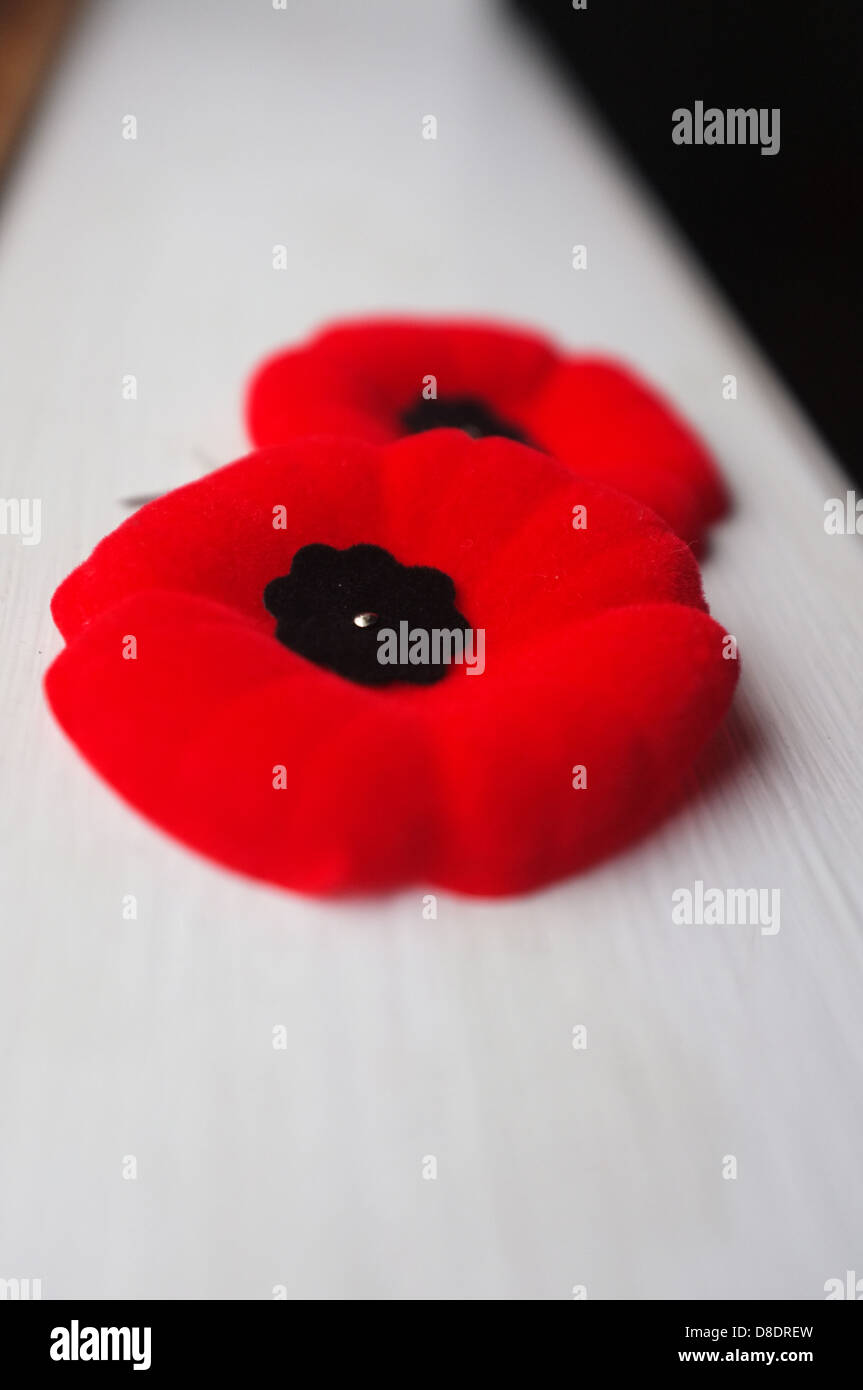 The Remembrance poppy has been used since 1920 to commemorate soldiers ...