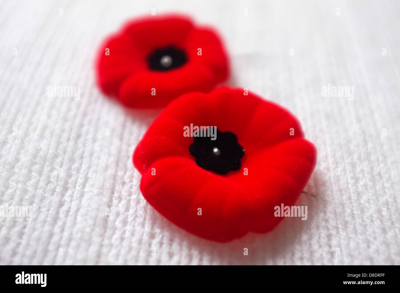 The Remembrance poppy has been used since 1920 to commemorate soldiers ...