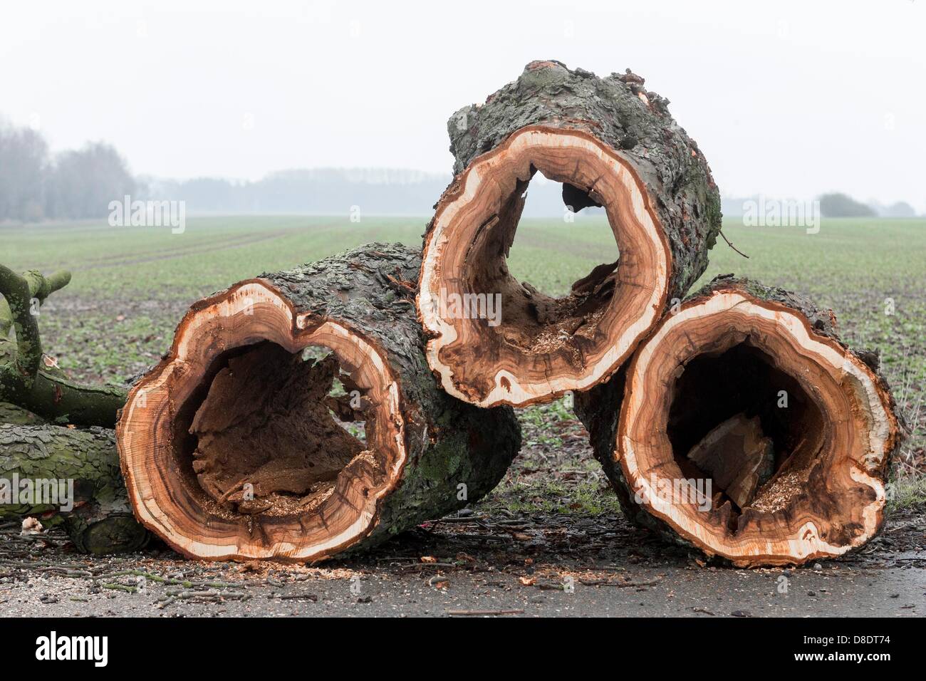 Brittle cinder hi-res stock photography and images - Alamy