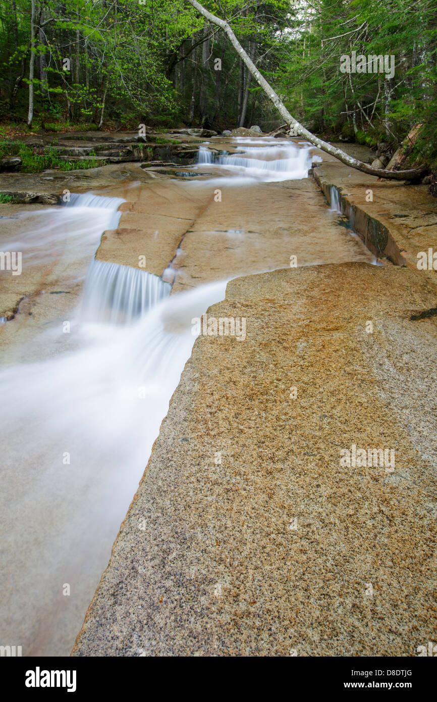 Walker Cascades in Franconia Notch State Park, New Hampshire USA Stock ...
