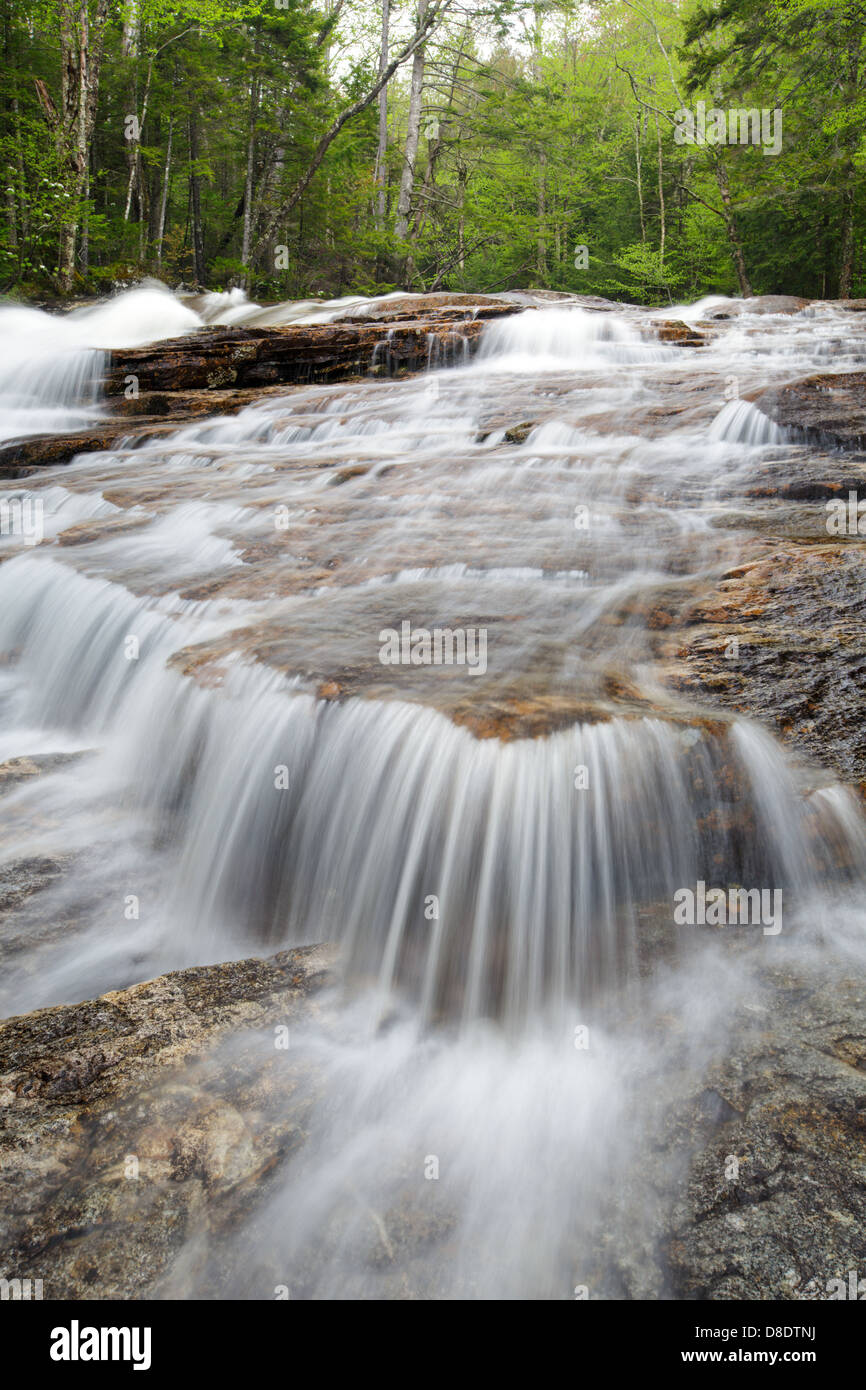 Cascade Brook during the spring months. This brook is located along the ...