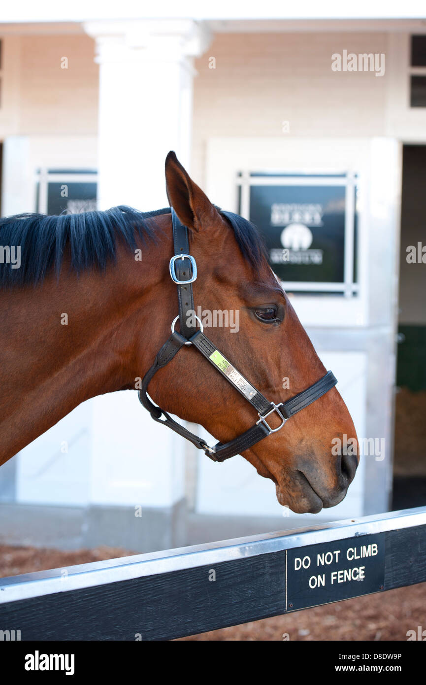 Louisville, Kentucky, Churchill Downs thoroughbred racetrack most ...