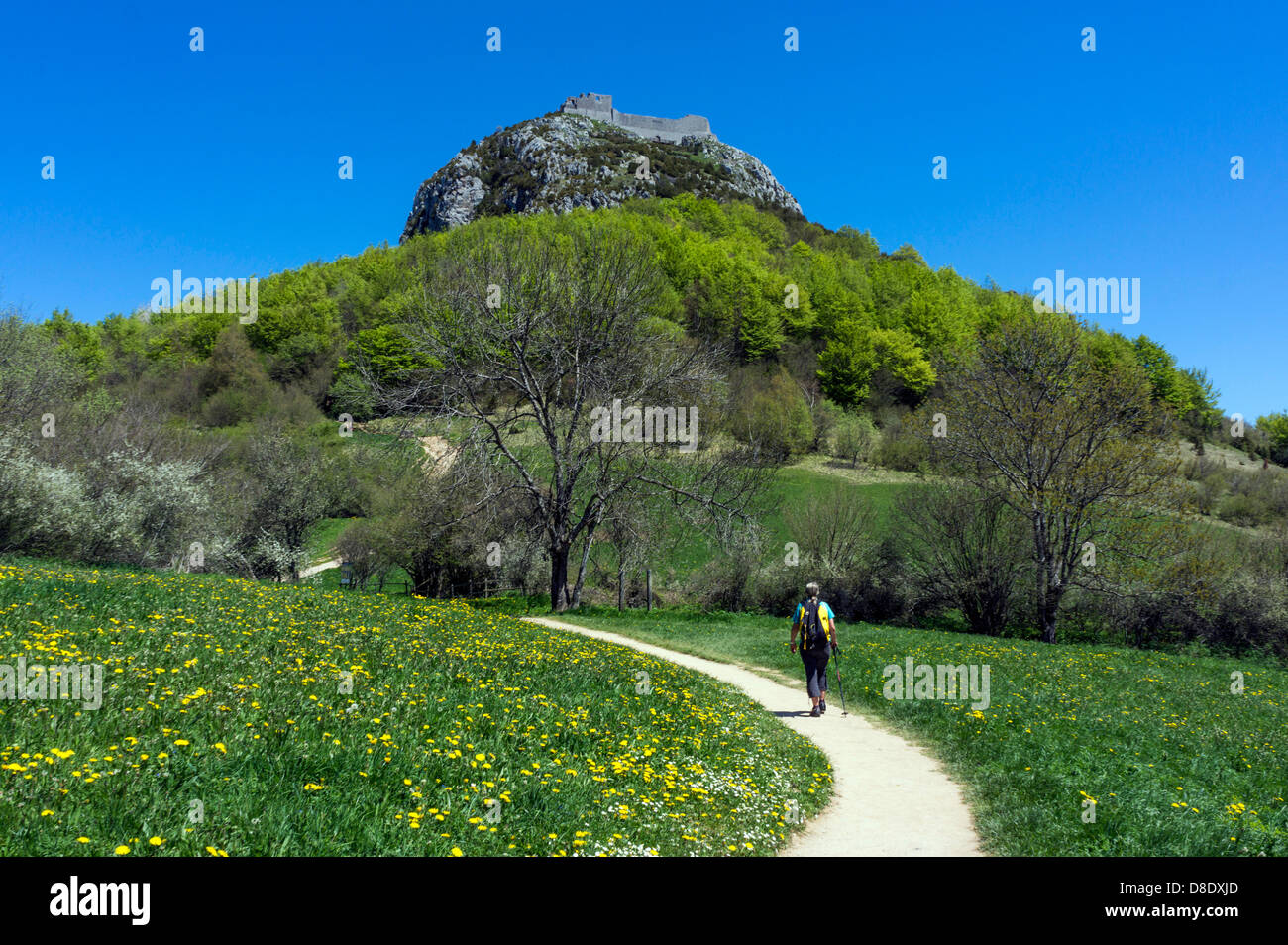 Approach to chateau de montsegur hi-res stock photography and images ...