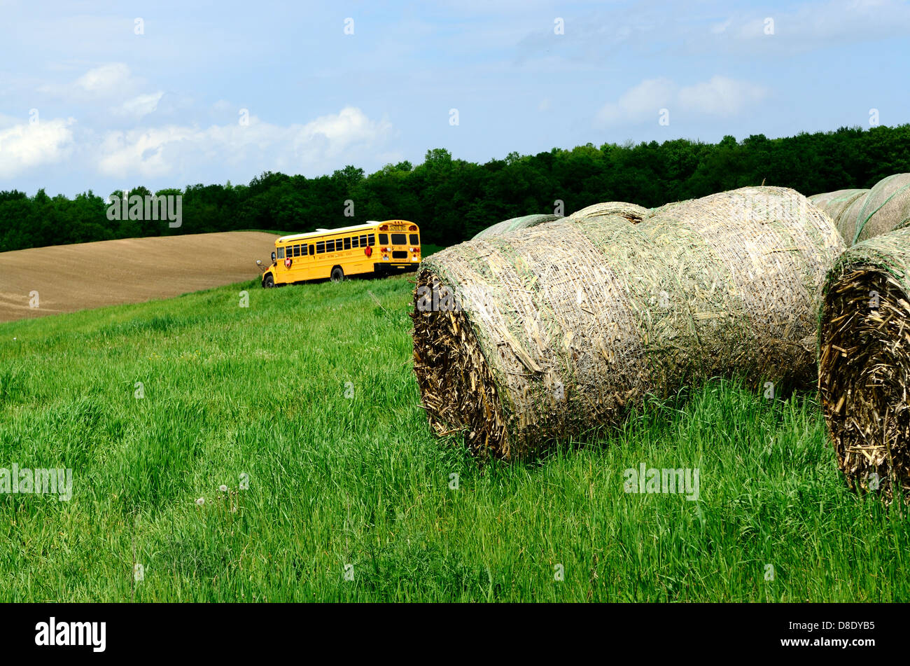School bus on grass field hi-res stock photography and images - Alamy