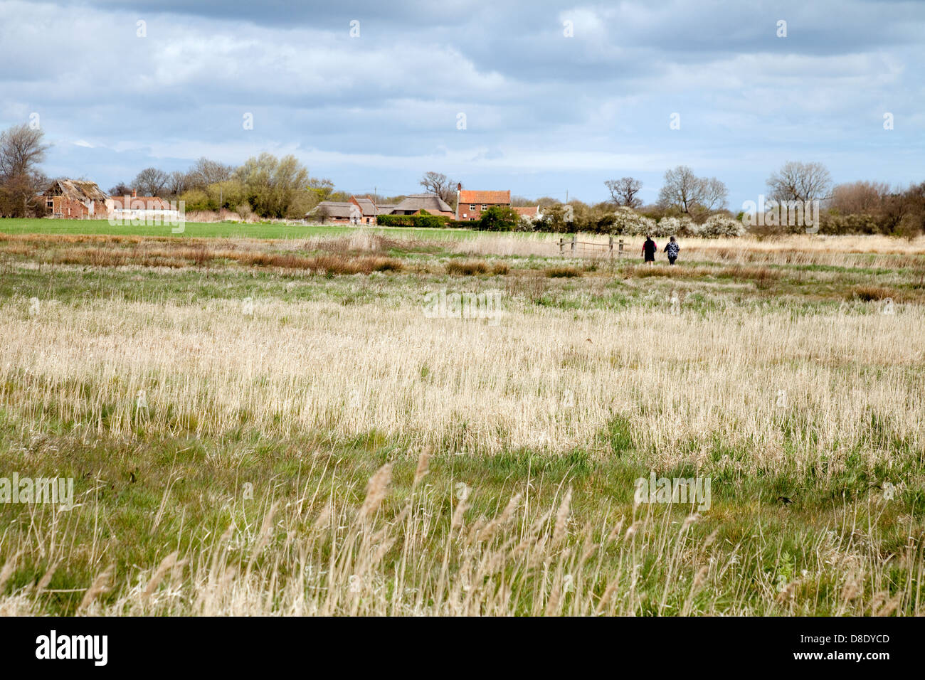 Norfolk countryside hi-res stock photography and images - Alamy