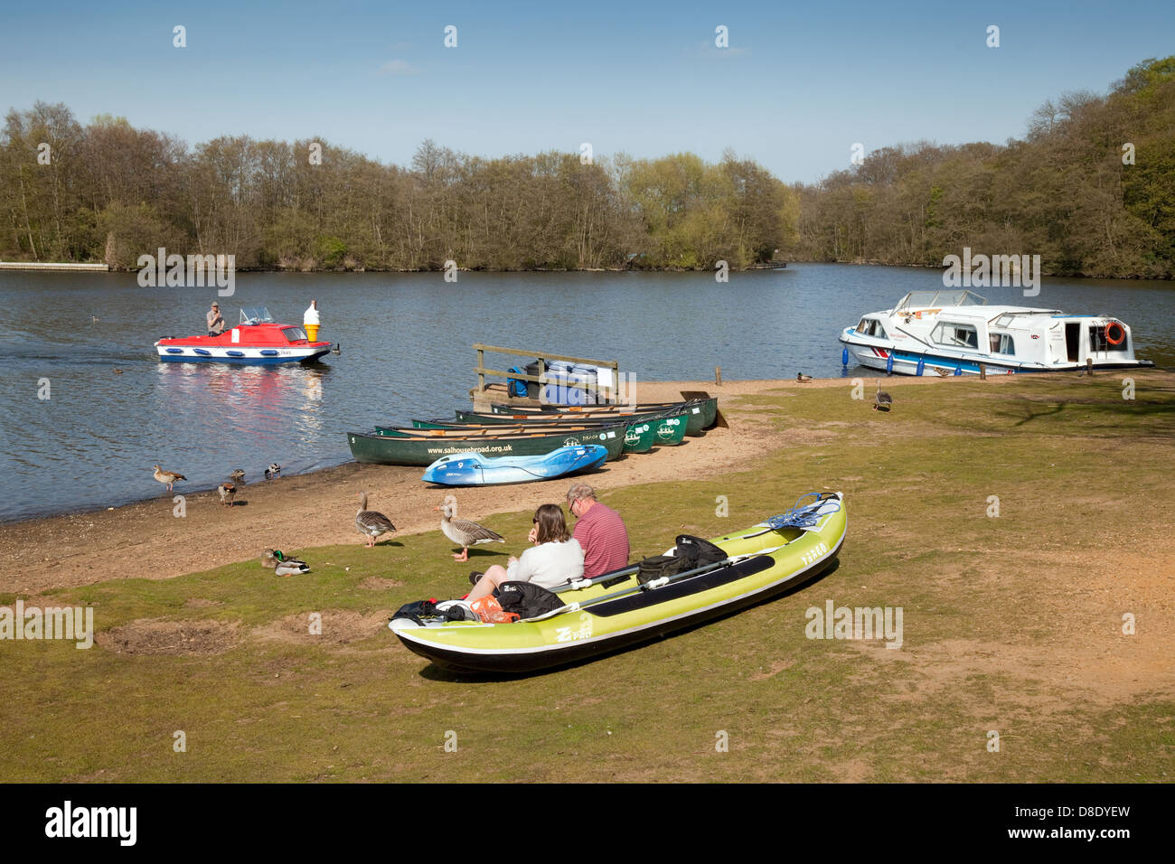 Scene on Salhouse broad, Norfolk Broads, East Anglia UK Stock Photo - Alamy