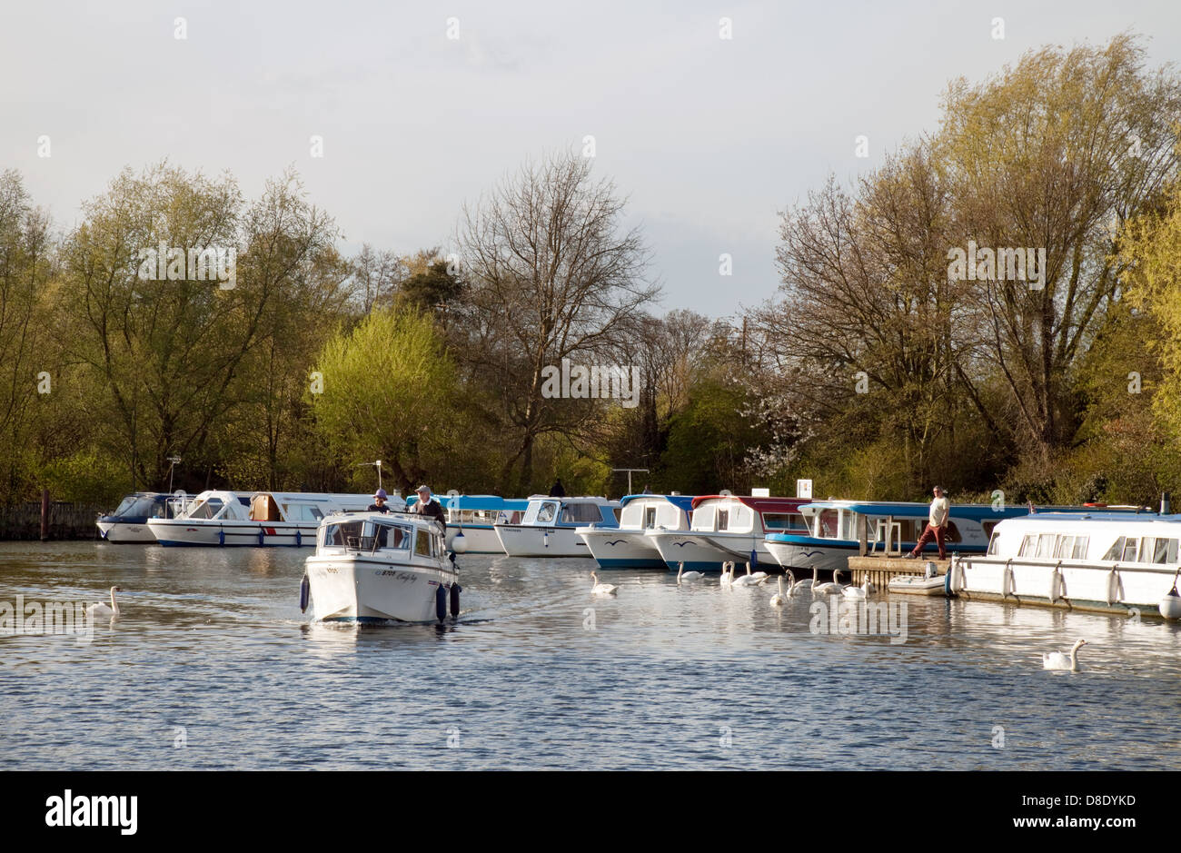 Norfolk Broads - boats moored on the River Bure at Wroxham, Norfolk ...