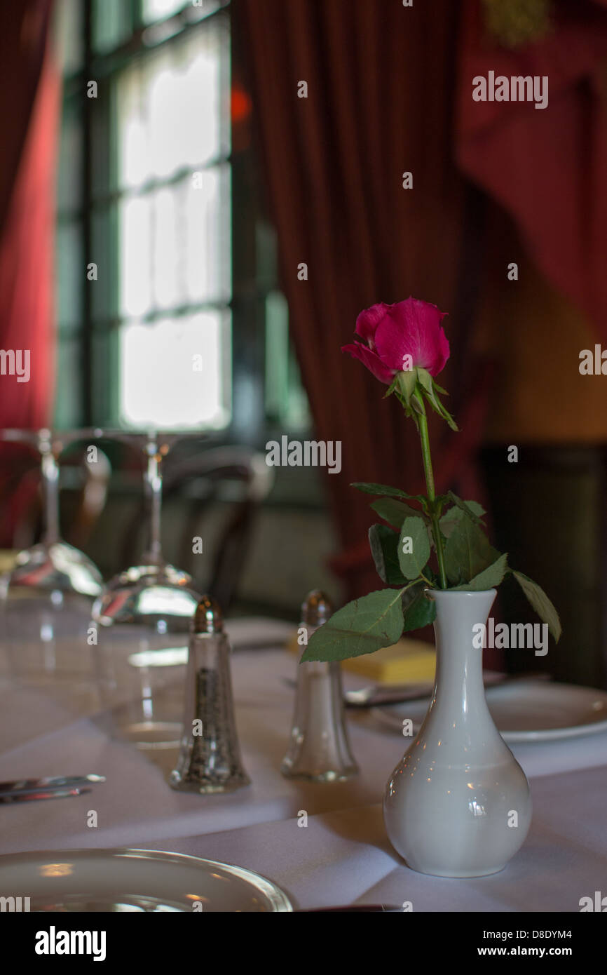 Single Rose In Vase On Table