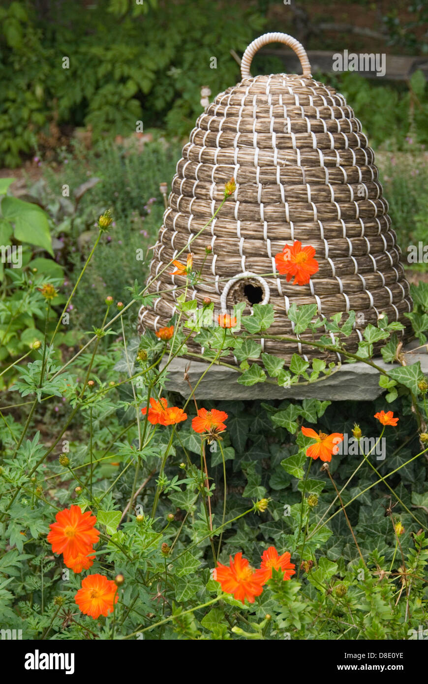 Hive basket hi-res stock photography and images - Alamy