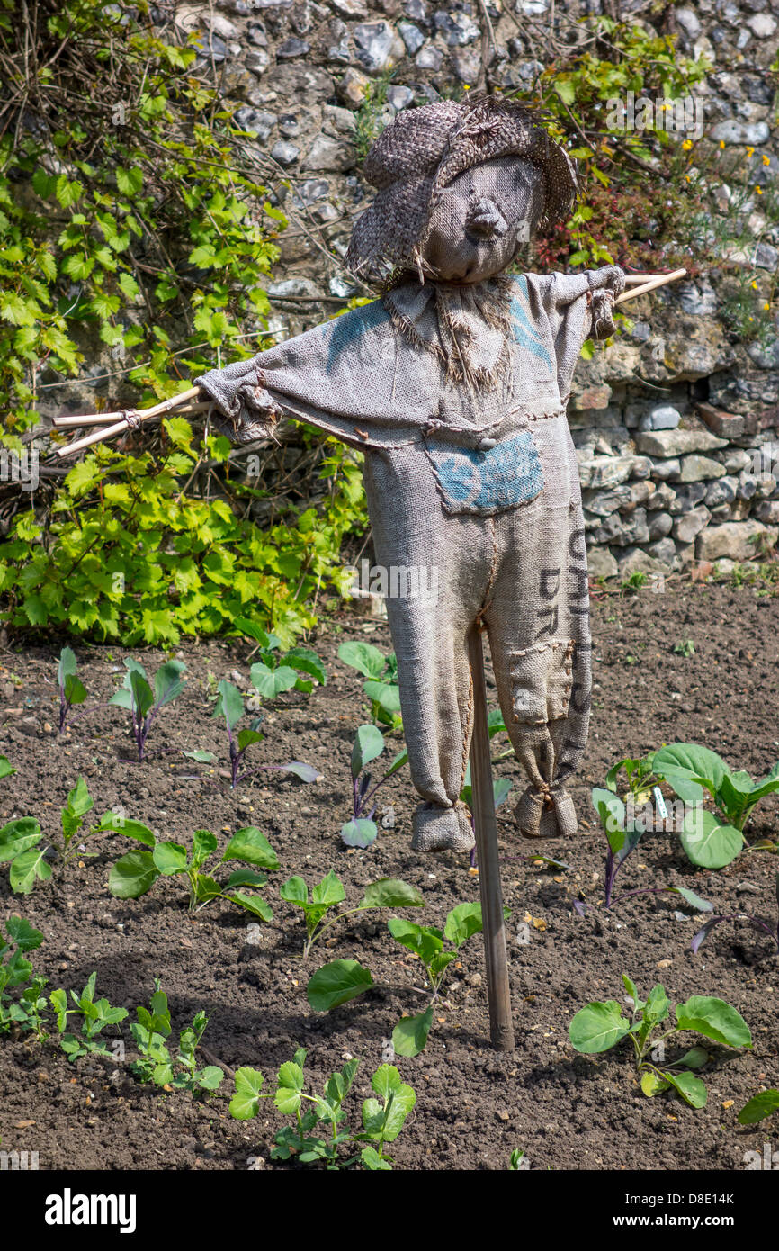 Scarecrow bird hi-res stock photography and images - Alamy