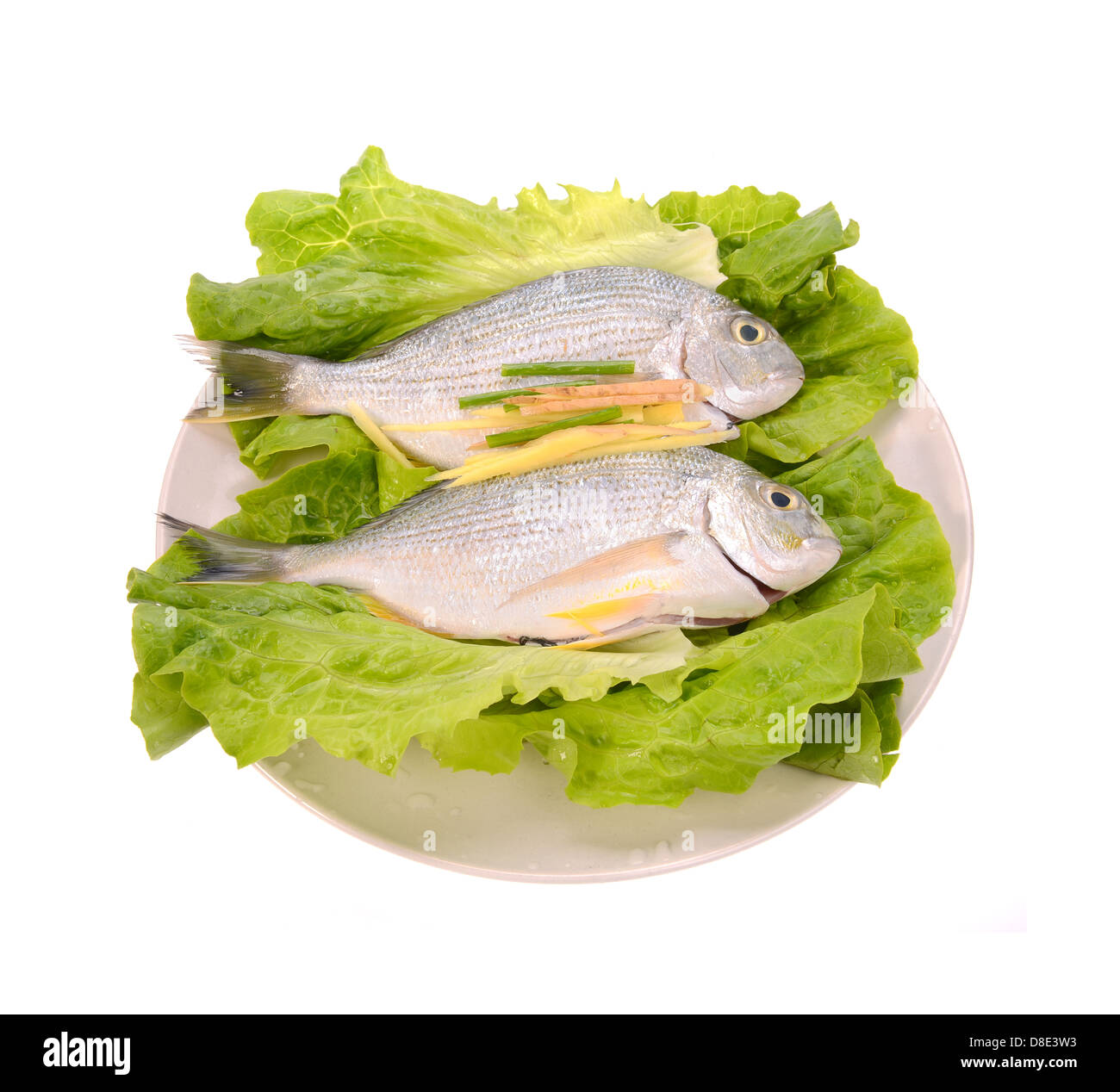 Fish catch in fishing Cut Out Stock Images & Pictures - Alamy