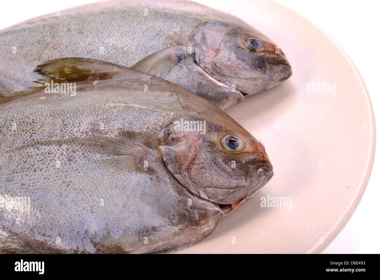 Fish in the plate Stock Photo - Alamy
