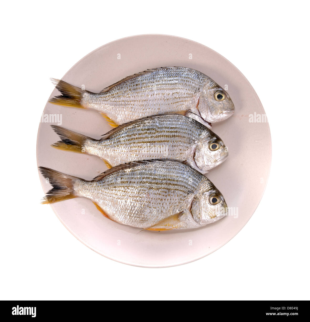 Fish plate background Cut Out Stock Images & Pictures - Alamy