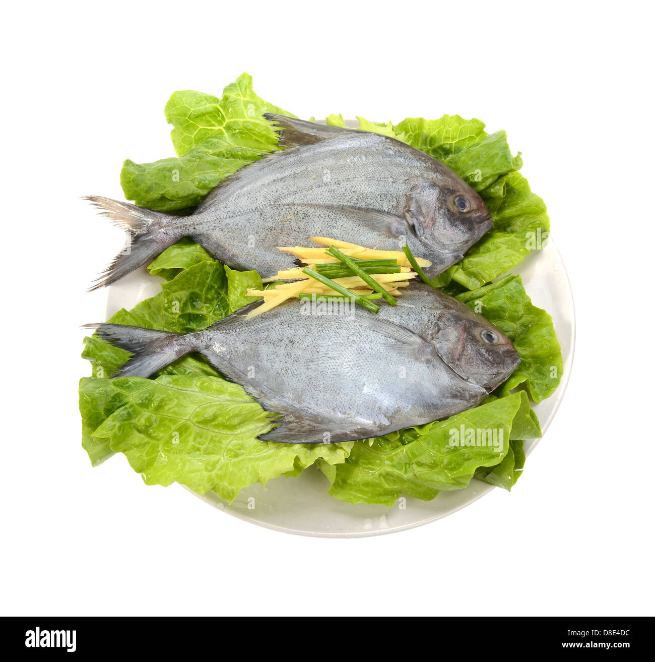 Fish in the plate Stock Photo - Alamy