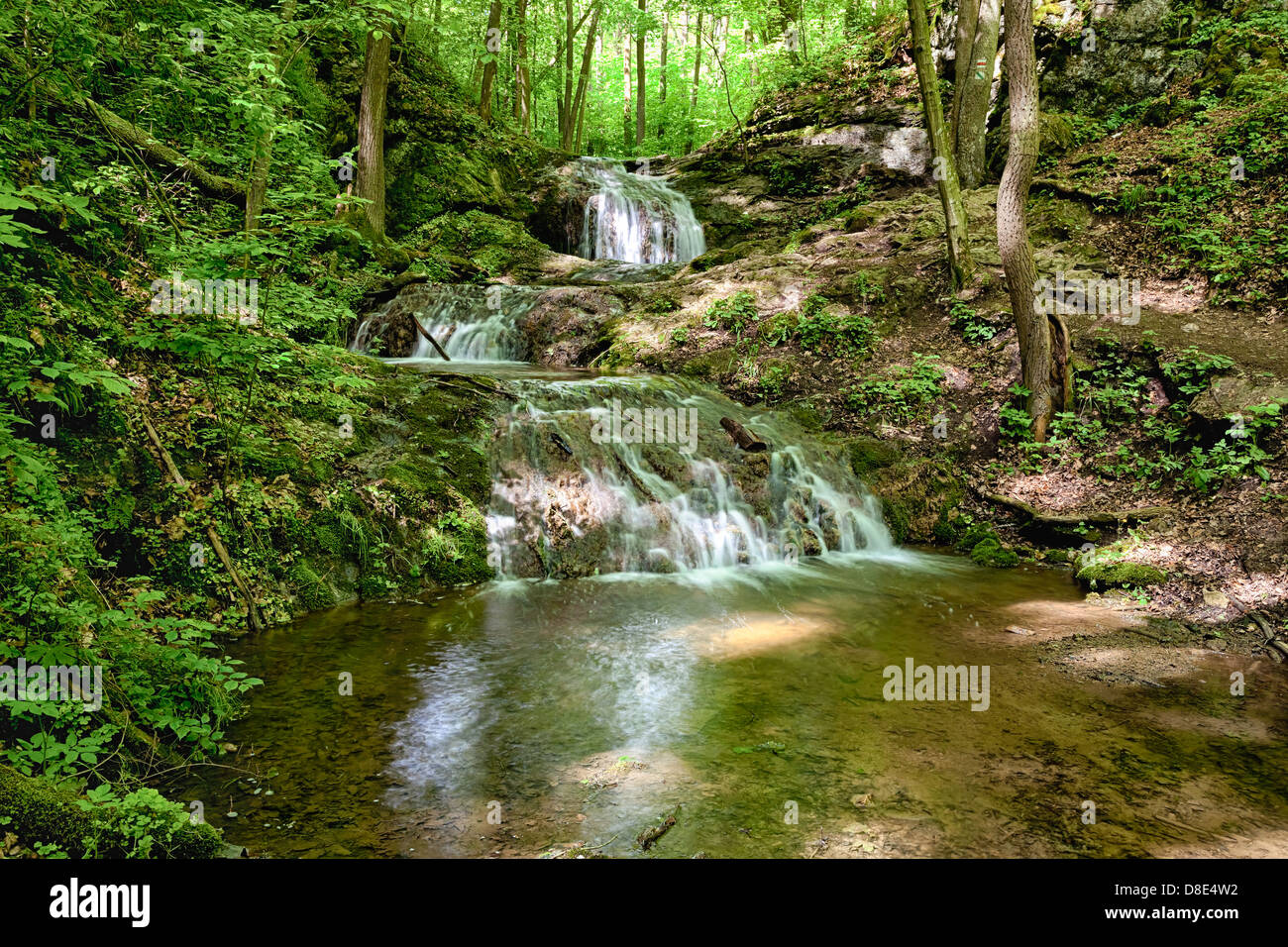 The river runs over cascades in the primeval forest - HDR Stock Photo ...