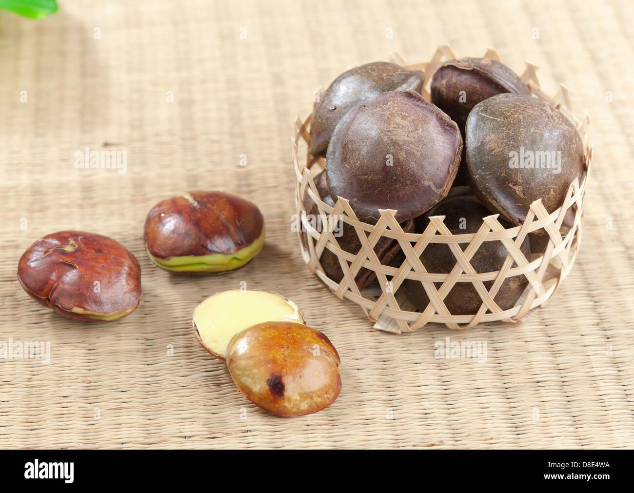 Archidendron Jiringa seeds Stock Photo - Alamy