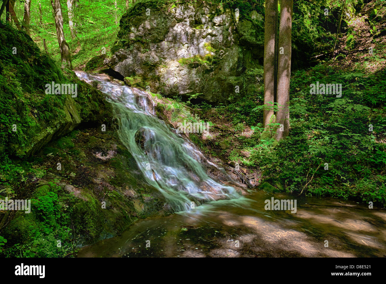 The river runs over cascades in the primeval forest - HDR Stock Photo ...
