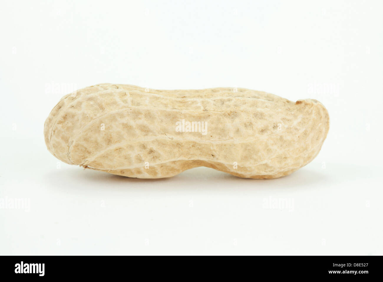Peanut bean peanuts Cut Out Stock Images & Pictures - Alamy