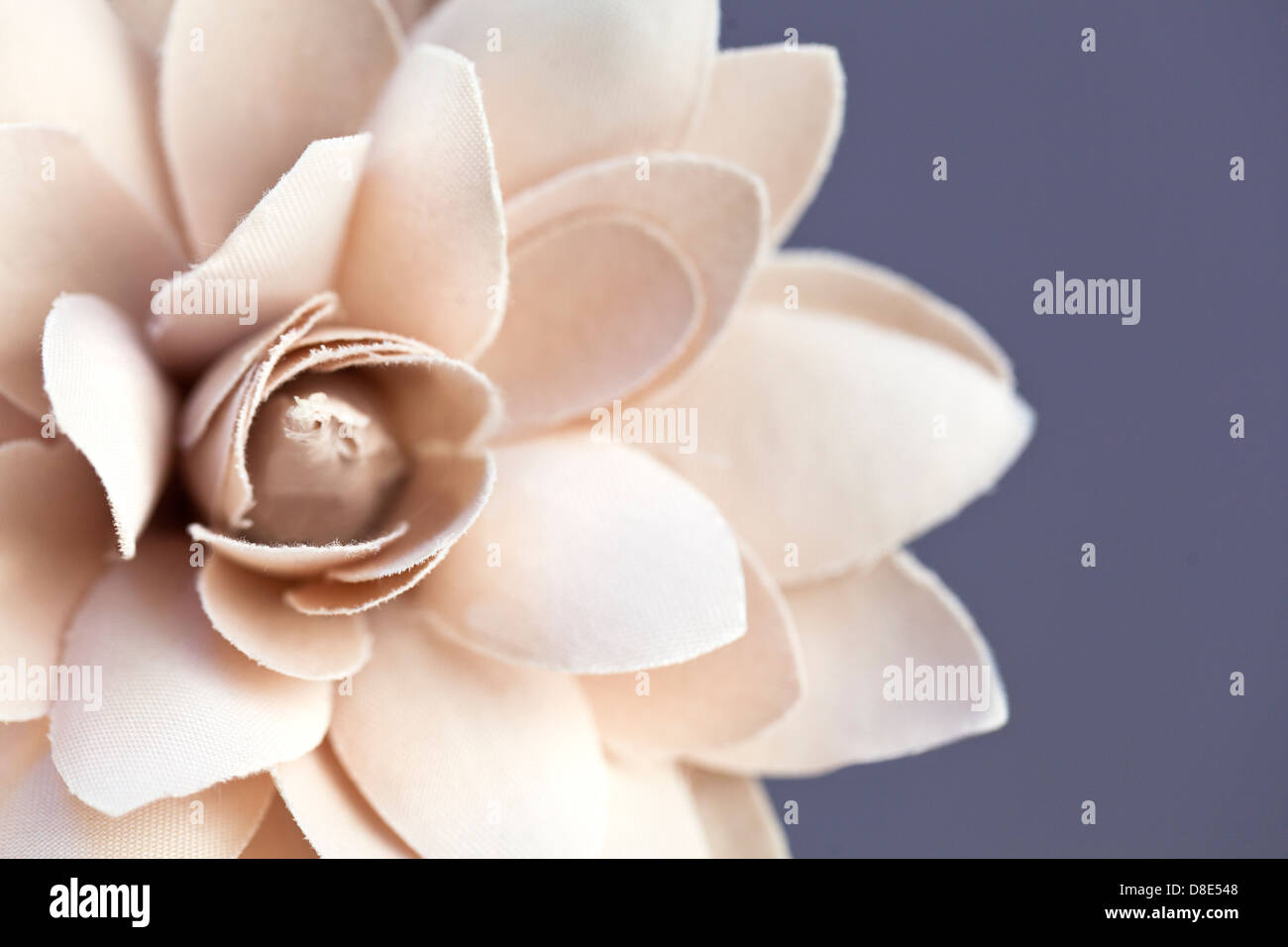 Suave floral hi-res stock photography and images - Alamy