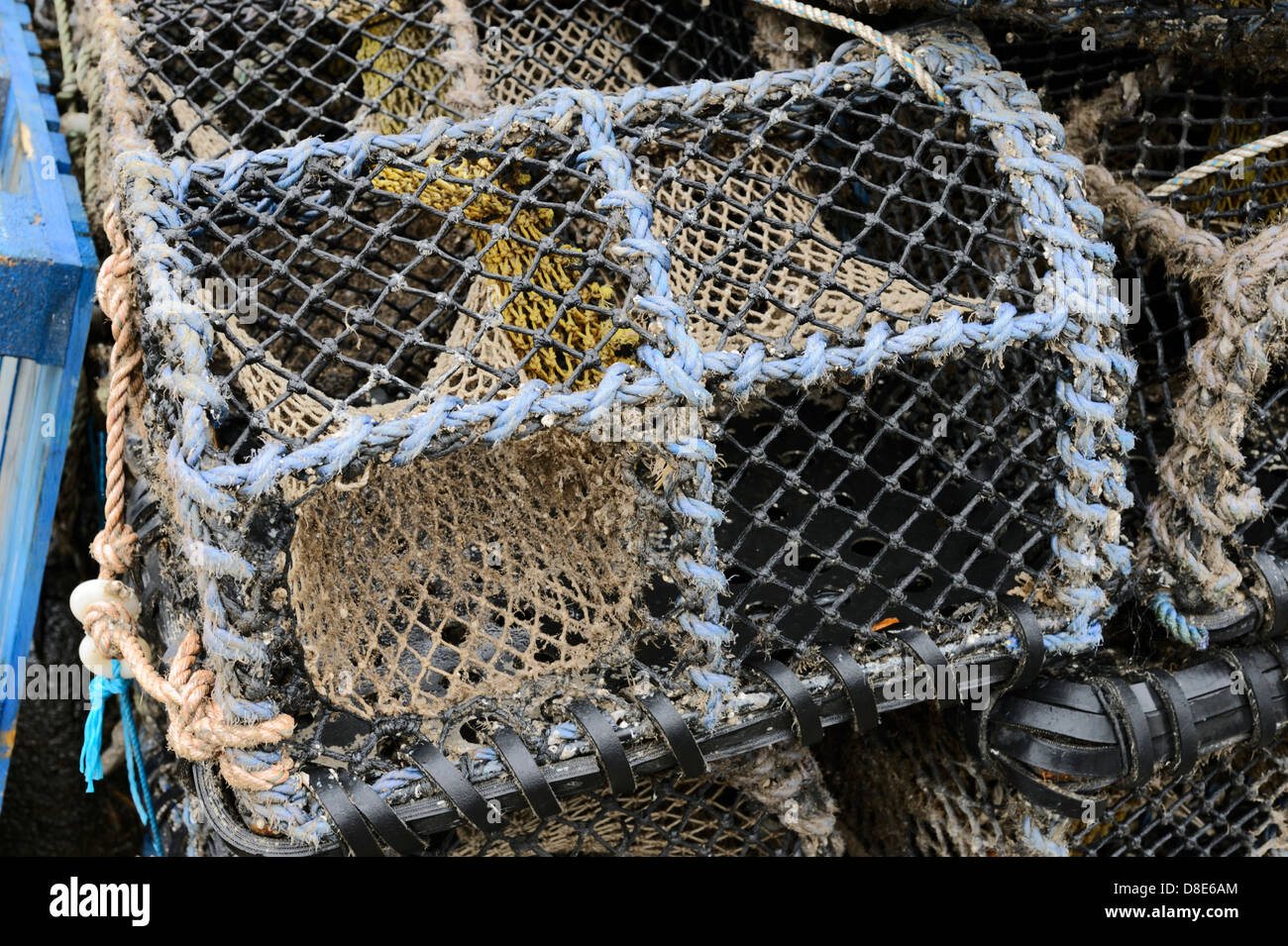 Side entry creel or parlour pot trap for catching prawns or lobsters ...