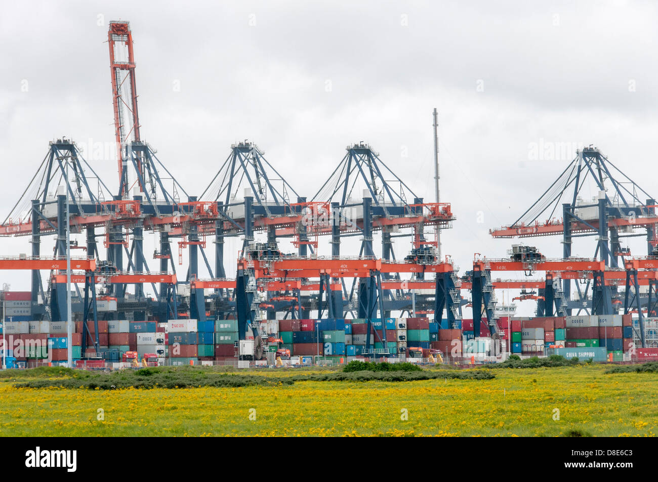Container port in Rotterdam, Netherlands Stock Photo - Alamy