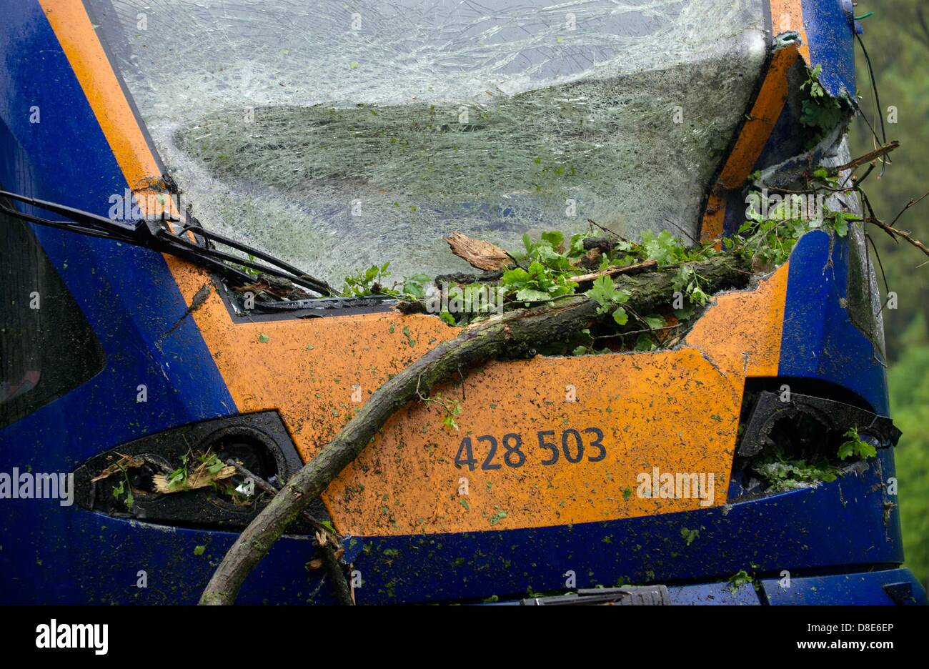 Damages of a regional train, which crashed into a tree lying on the ...