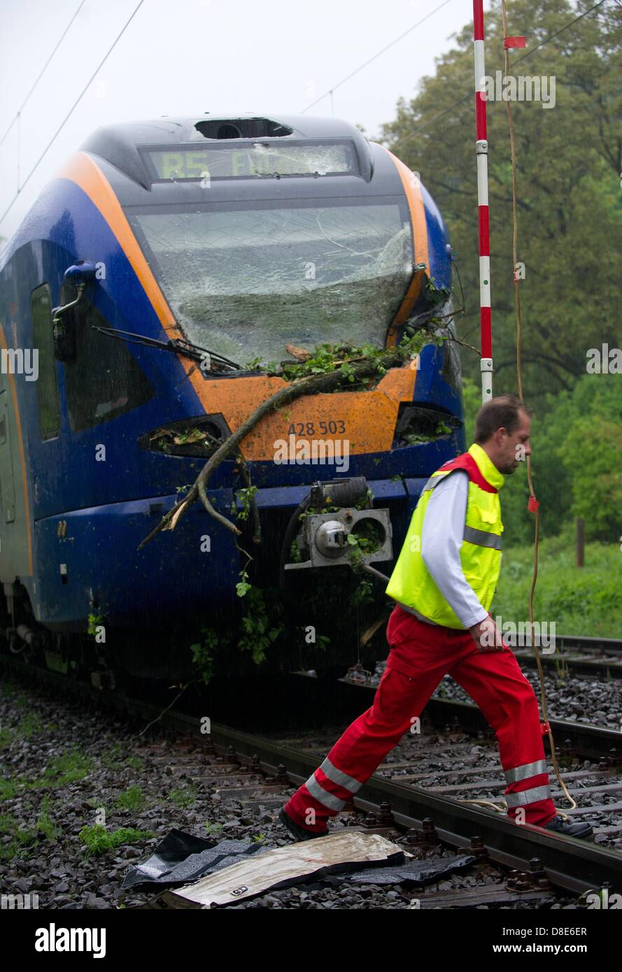 A damaged regional train, which crashed into a tree lying on the tracks ...