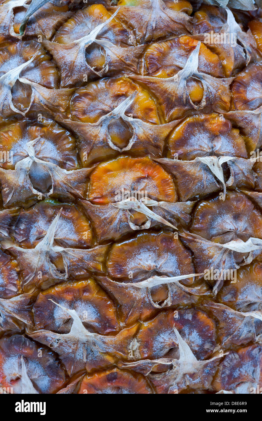 outer surface of a ripe pineapple macro background Stock Photo - Alamy