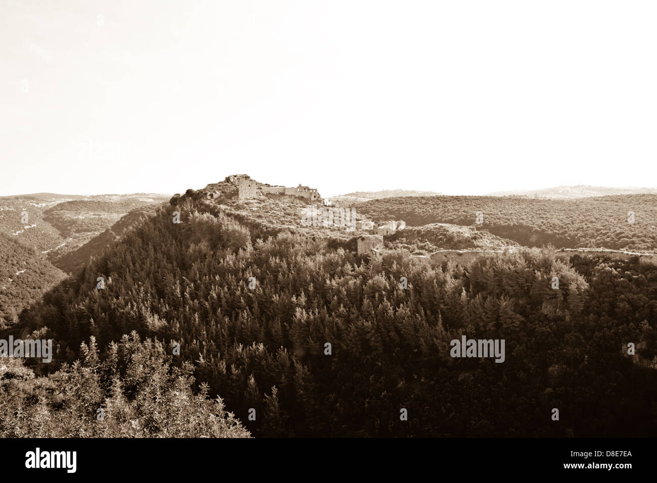 The Citadel of Salah Ed-Din (once known as Saone, also known as ...