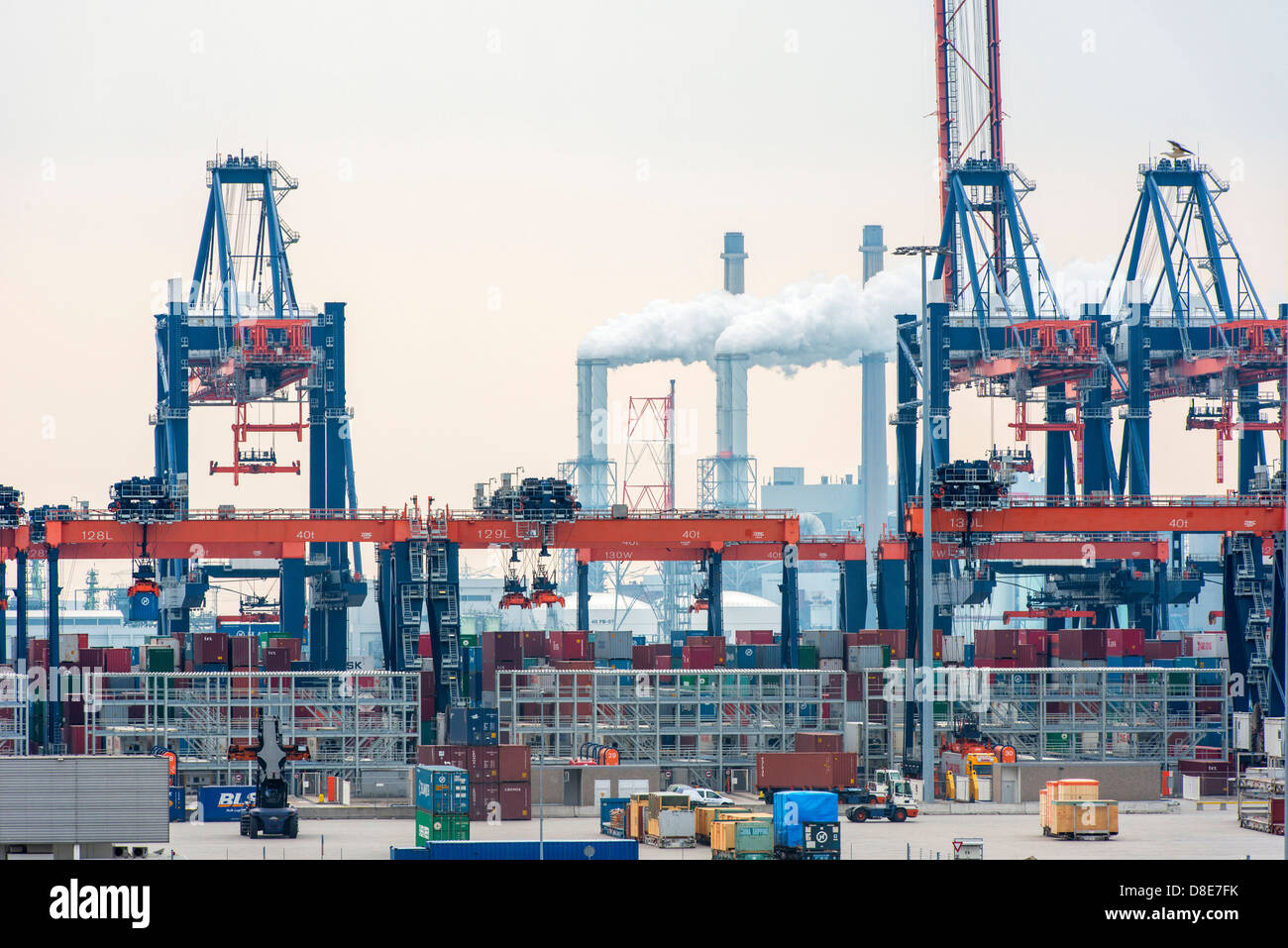 Container terminal in Rotterdam Harbor, Netherlands Stock Photo - Alamy