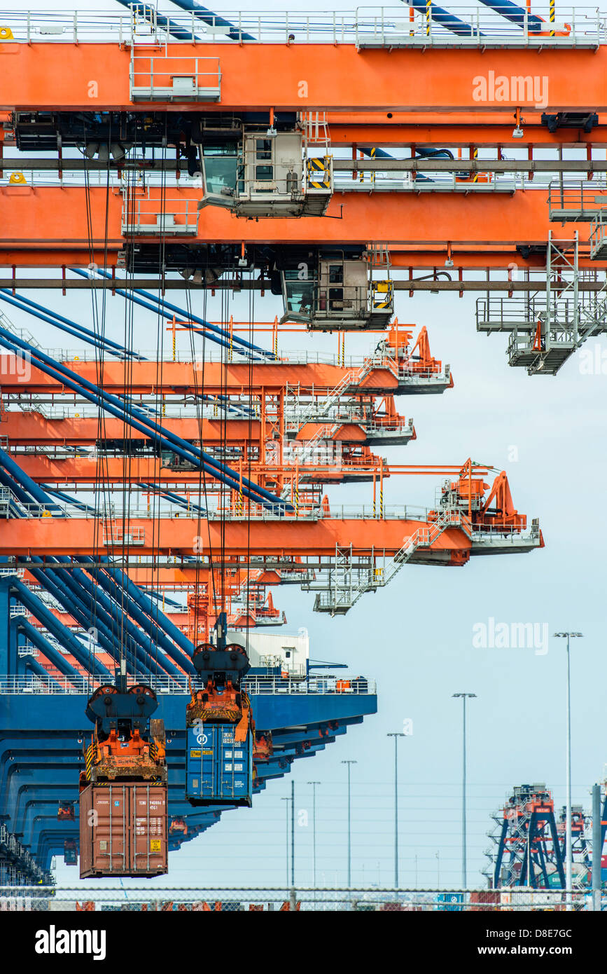 Container terminal in Rotterdam Harbor, Netherlands Stock Photo - Alamy