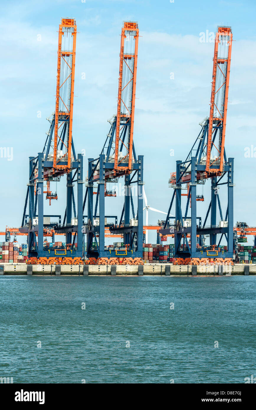 Container terminal in Rotterdam Harbor, Netherlands Stock Photo - Alamy