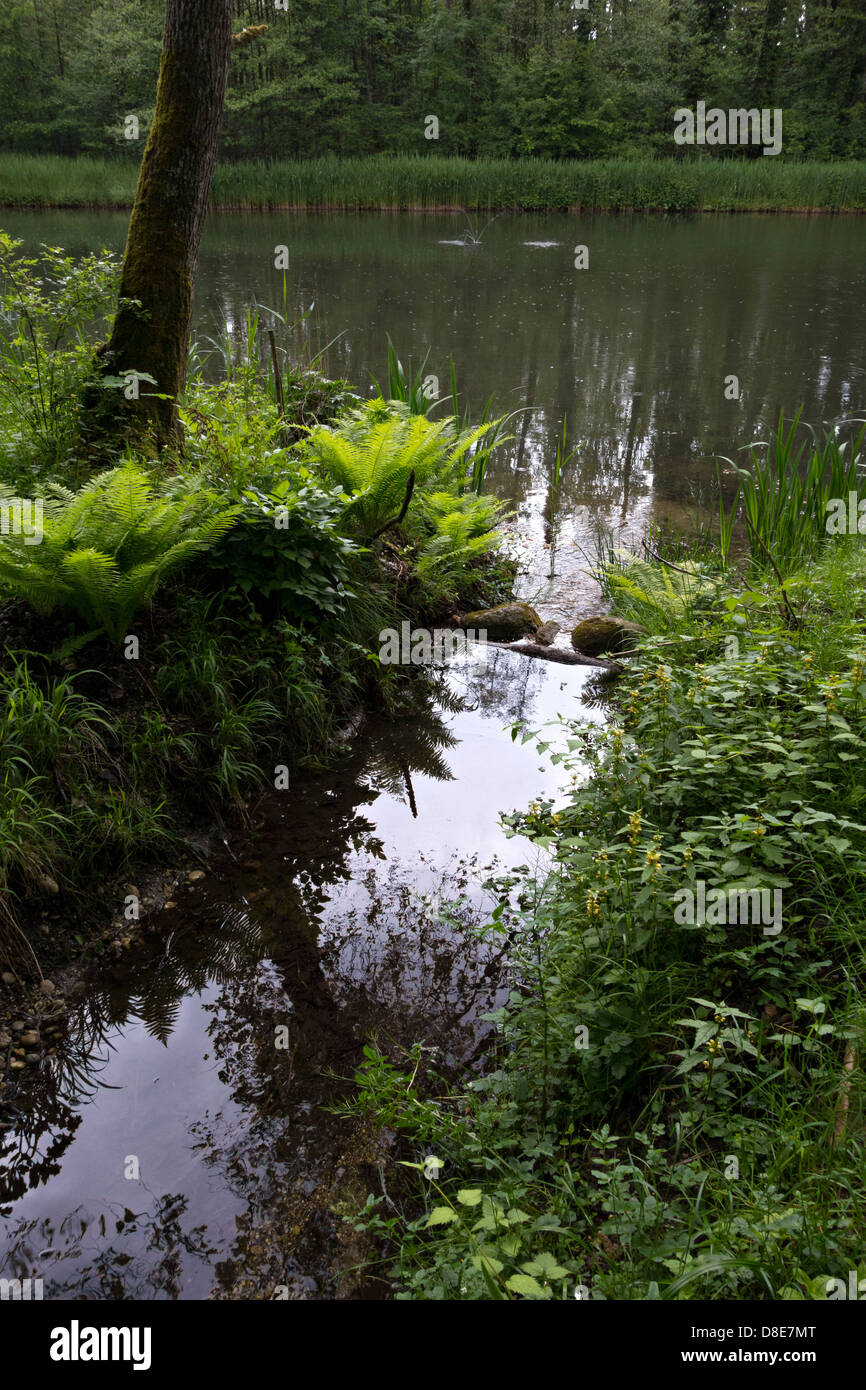 Stream bavaria water nature hi-res stock photography and images - Alamy