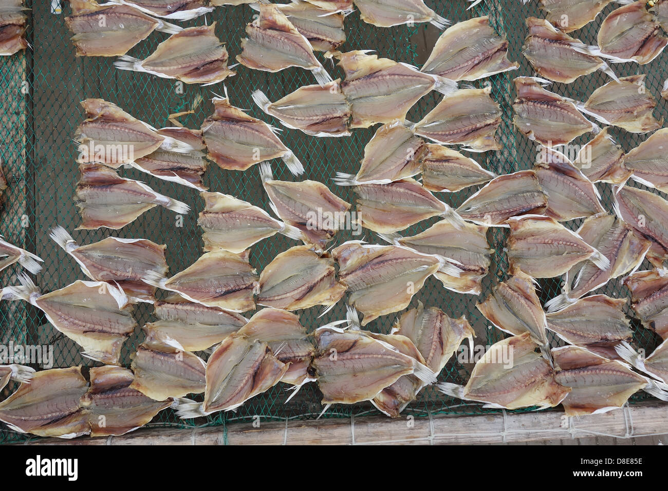 Fish drying in the sun.Drying fish meat Stock Photo - Alamy