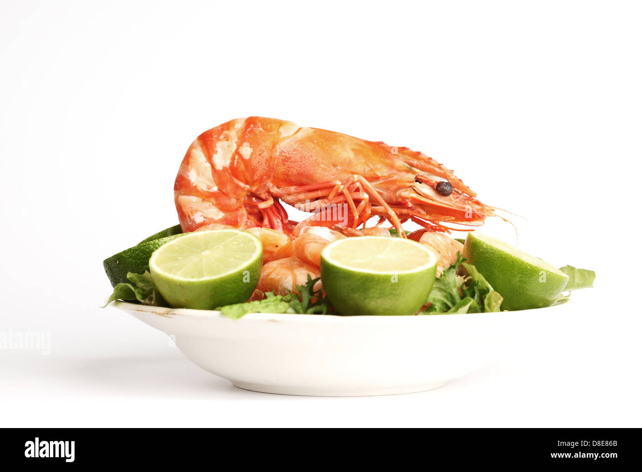 Red sea holidays Cut Out Stock Images & Pictures - Alamy