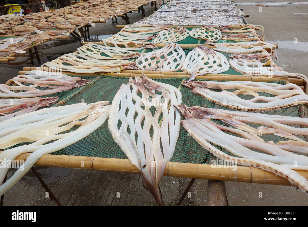 Sun drying seafood hi-res stock photography and images - Alamy
