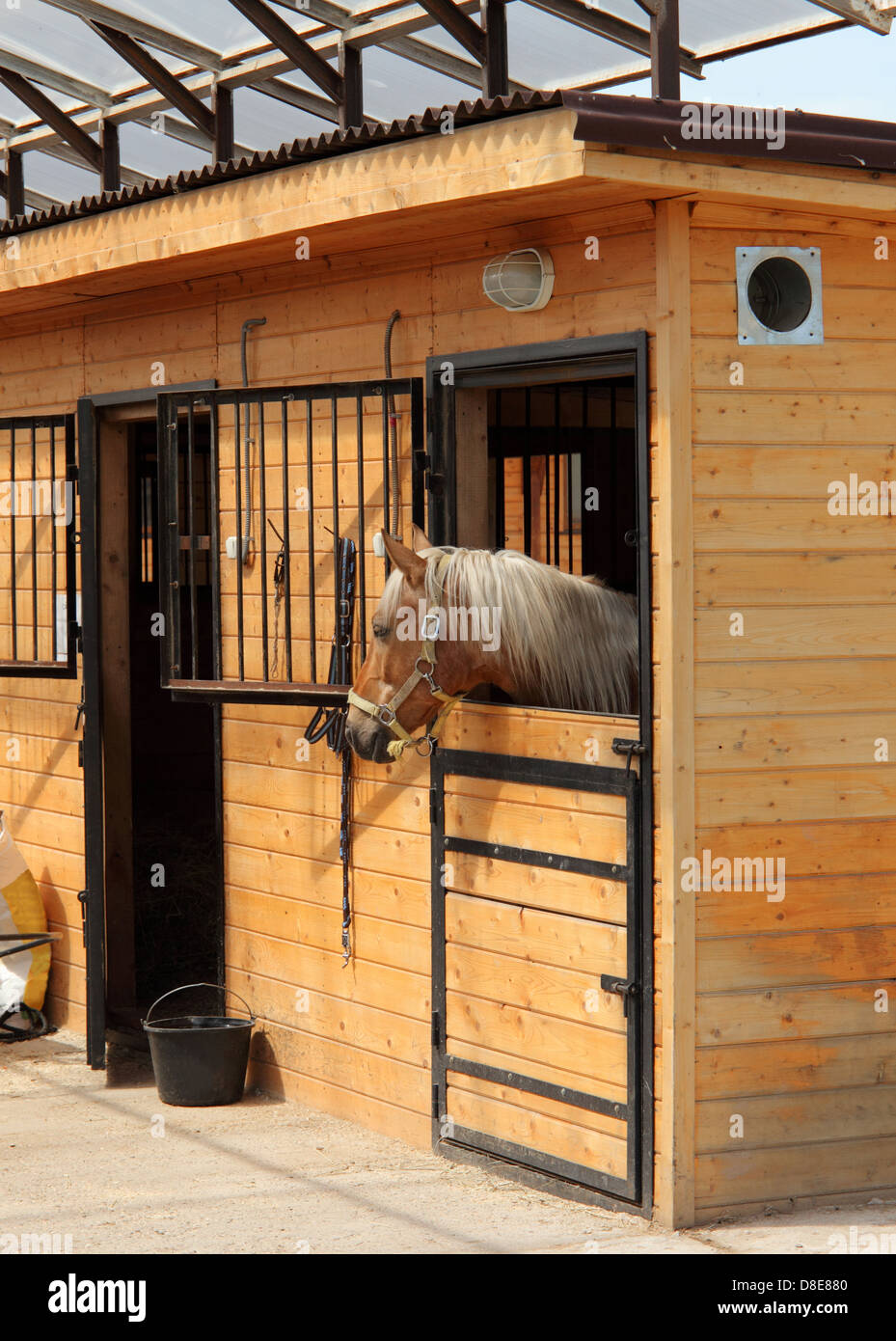 Horse with the head outside of the stable Stock Photo - Alamy