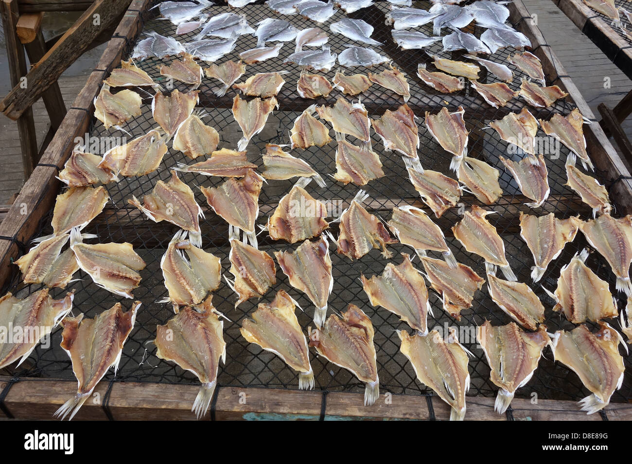 Fish drying in the sun.Drying fish meat Stock Photo - Alamy