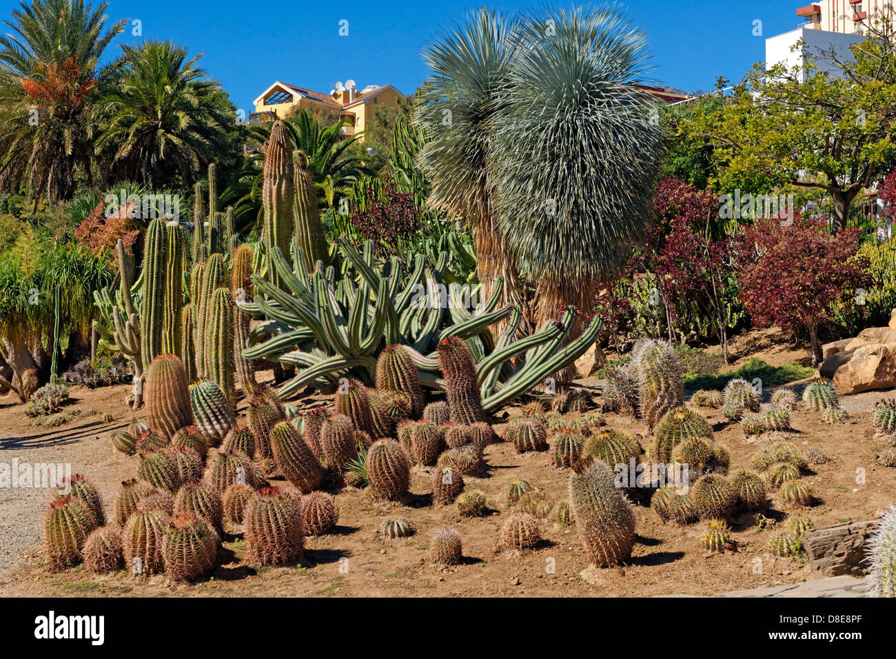 Cactus garden spain hi-res stock photography and images - Alamy