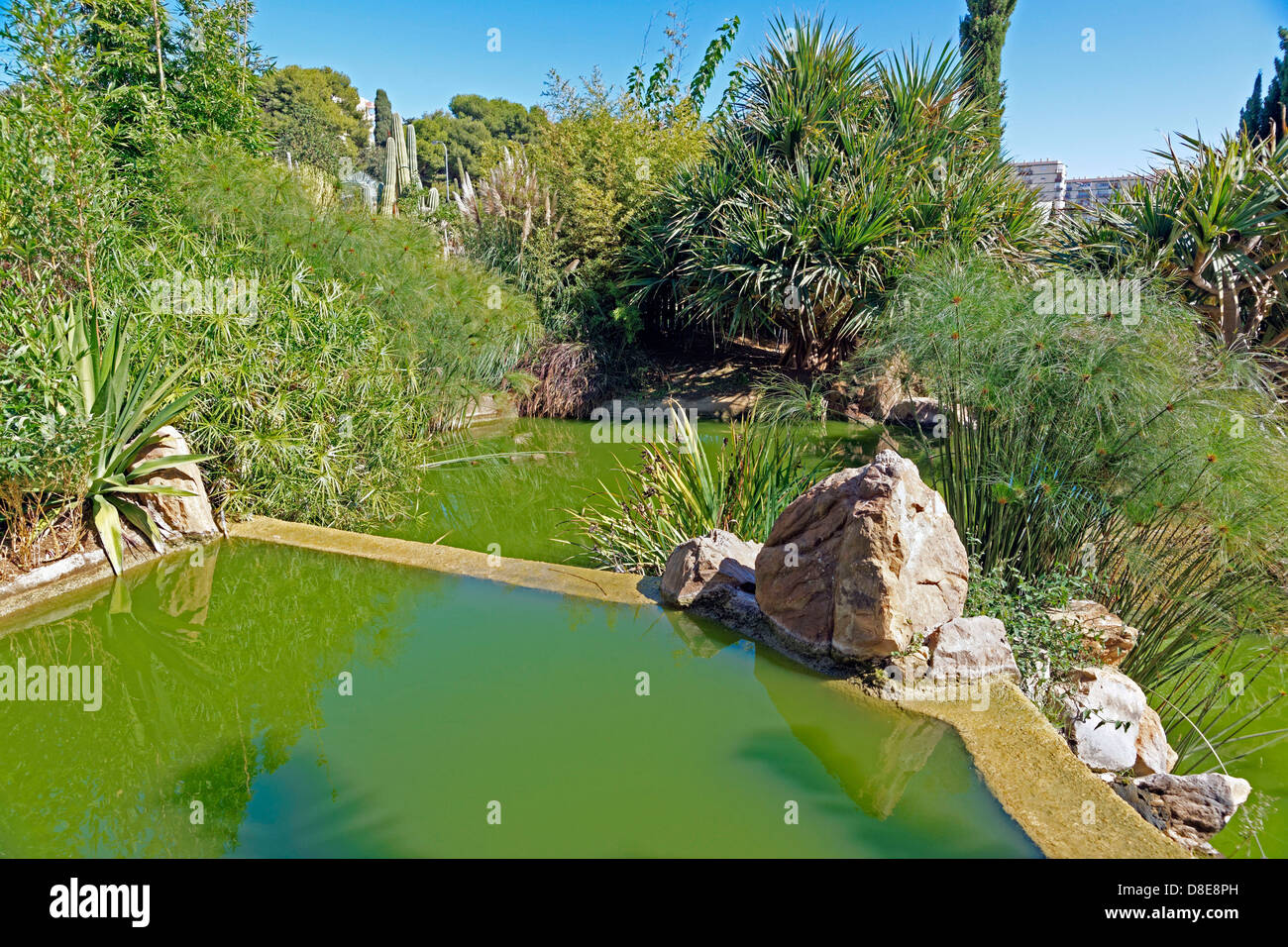 Gardens Parque De La Paloma, Benalmádena, Andalusia, Spain Stock Photo ...