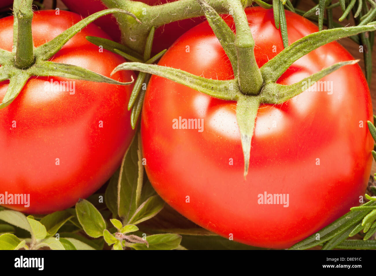 Vine ripened truss tomatoes fresh from the garden Stock Photo - Alamy