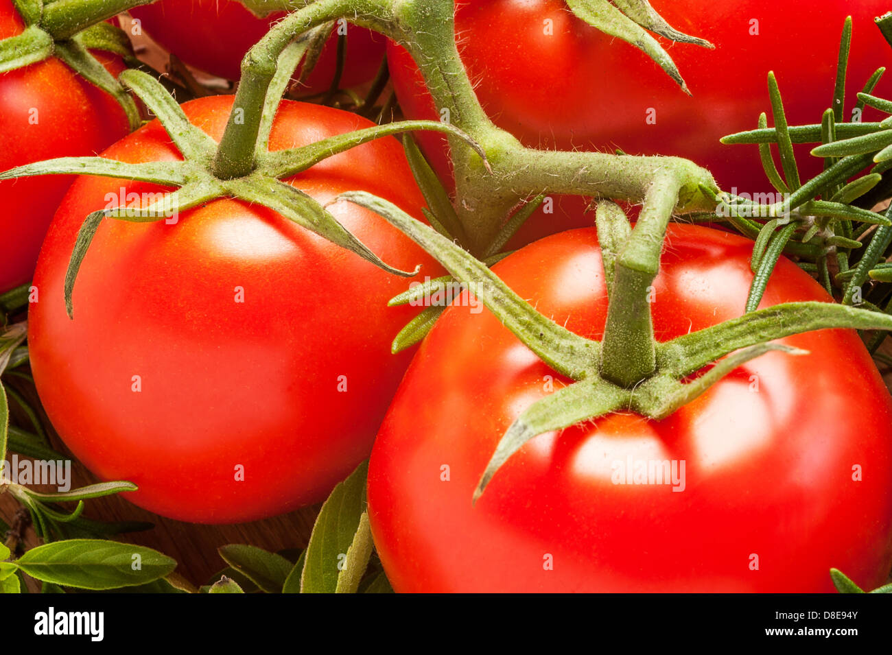 Vine ripened truss tomatoes fresh from the garden Stock Photo - Alamy