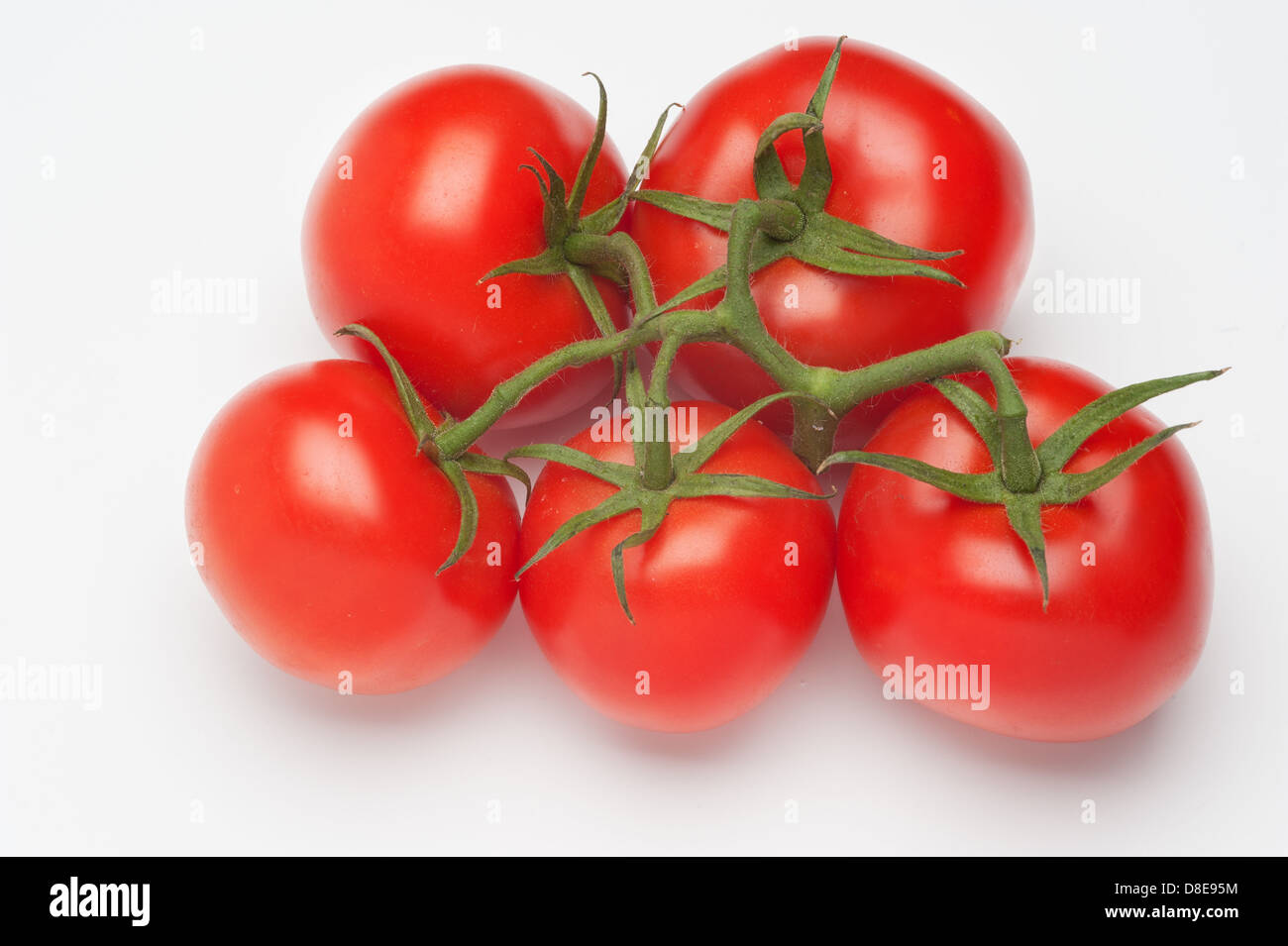Vine ripened truss tomatoes fresh from the garden isolated on white ...