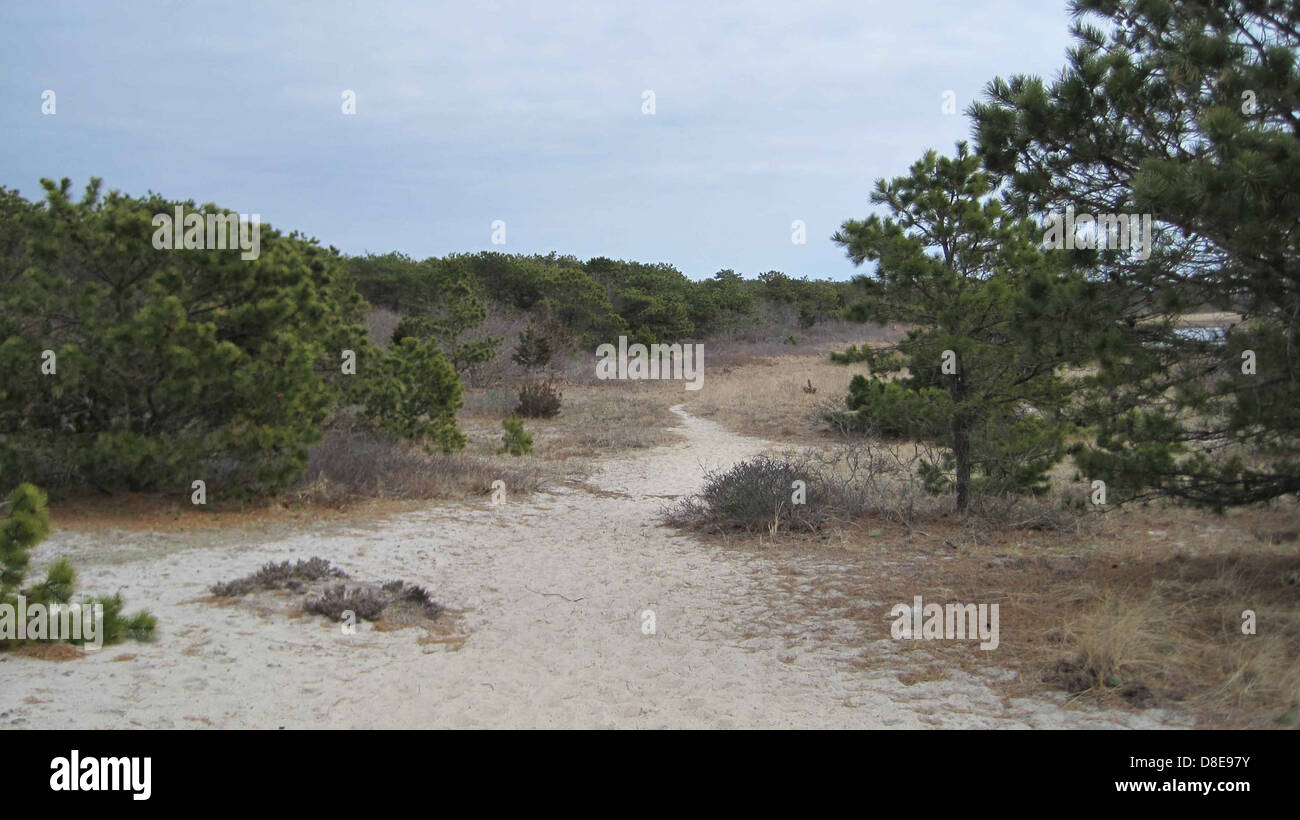 A sandy path is depicted, winding through a natural landscape. The path ...