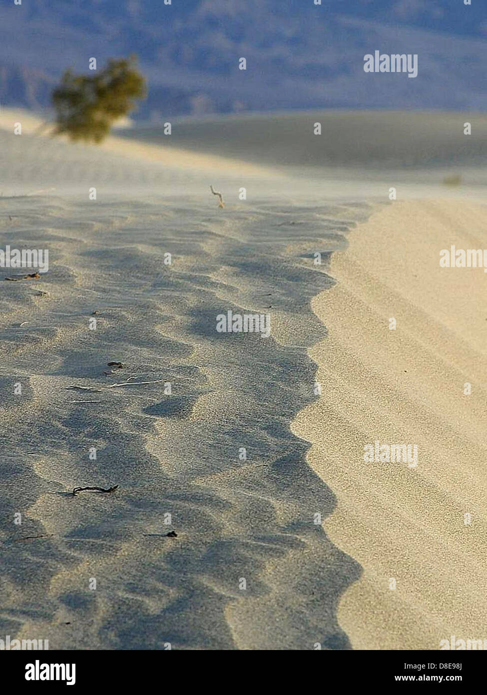 Endless sand dunes stretch across a desert landscape, with rolling ...