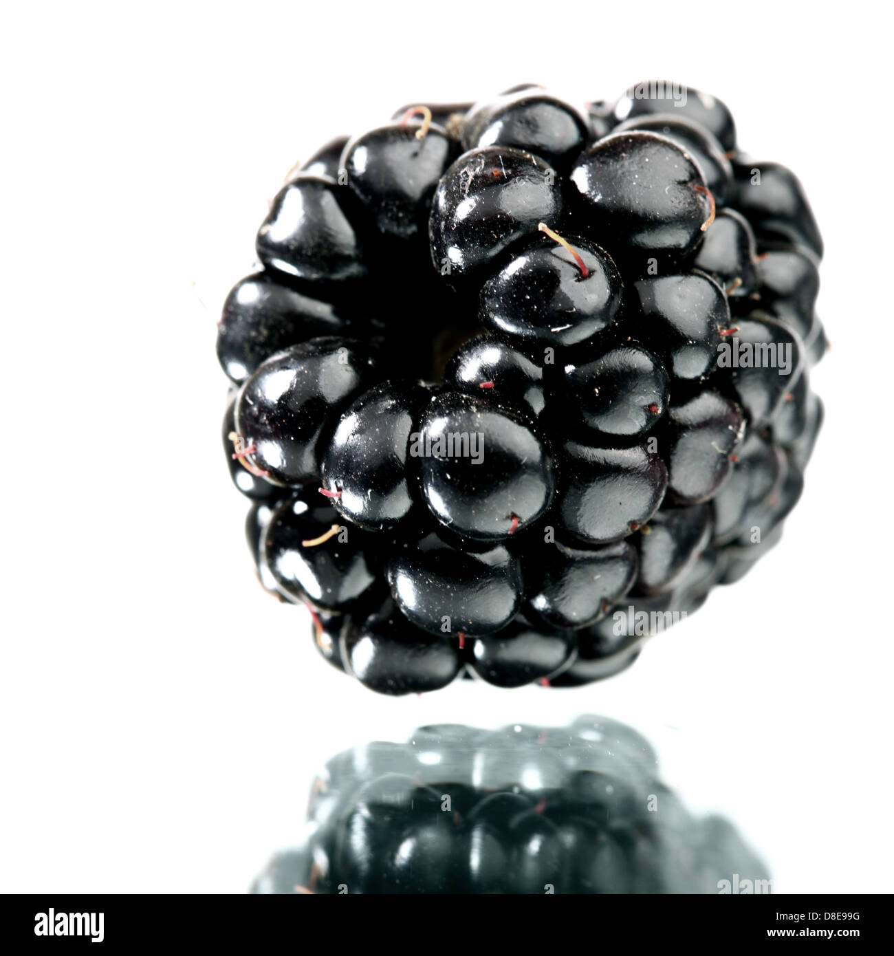 blackberry isolated on white background Stock Photo - Alamy